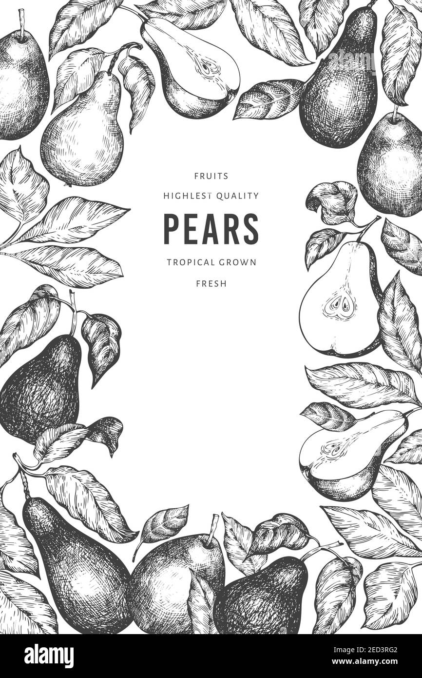 Pear design template. Hand drawn vector garden fruit illustration ...