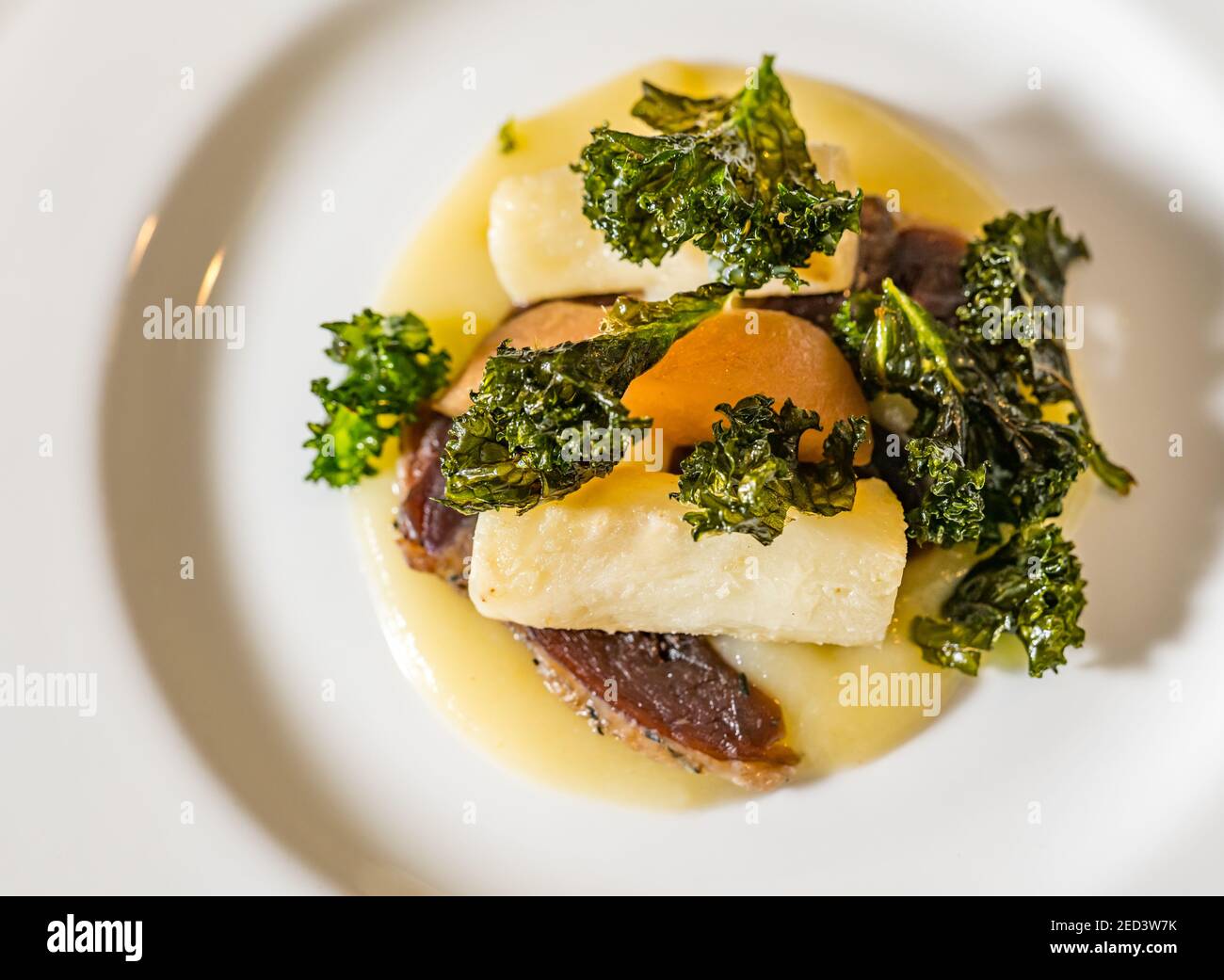 Fine dining plate of food wild mallard ham, parsnip & apple sauce ...