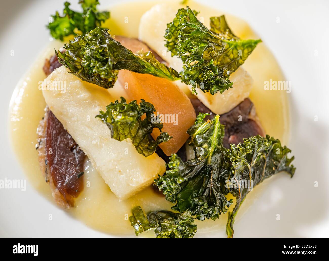 Fine dining plate of food wild mallard ham, parsnip & apple sauce ...