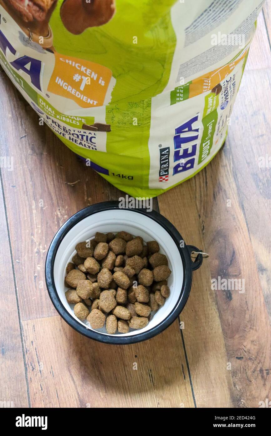 Beta dog hi-res stock photography and images - Alamy