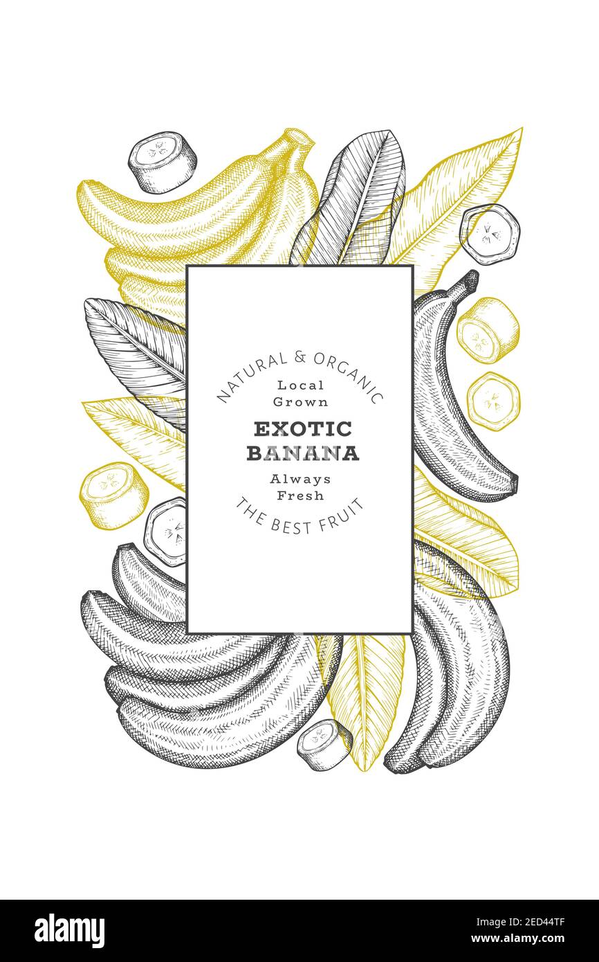 Hand drawn sketch style banana banner. Organic fresh fruit vector ...