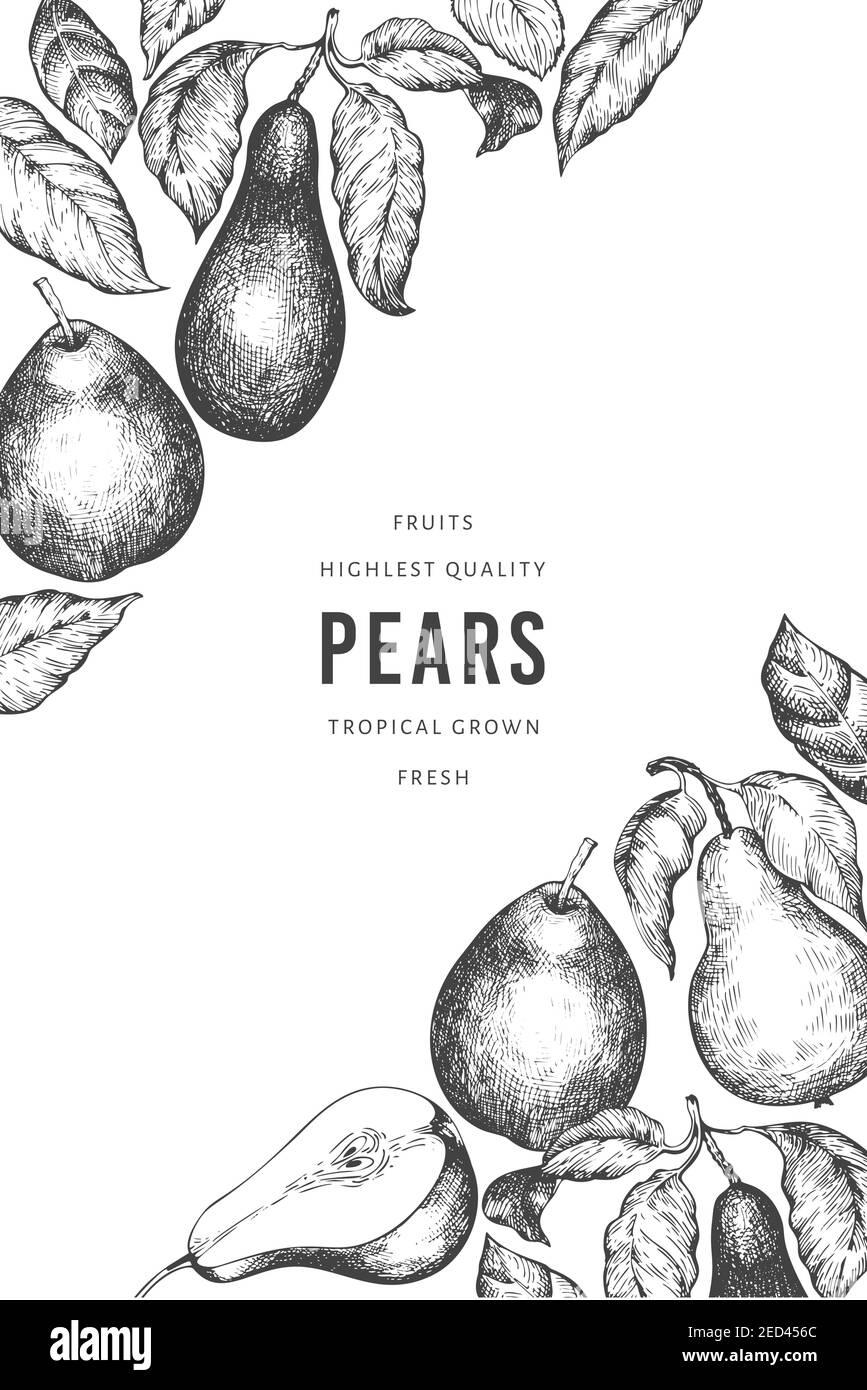 Pear design template. Hand drawn vector garden fruit illustration ...