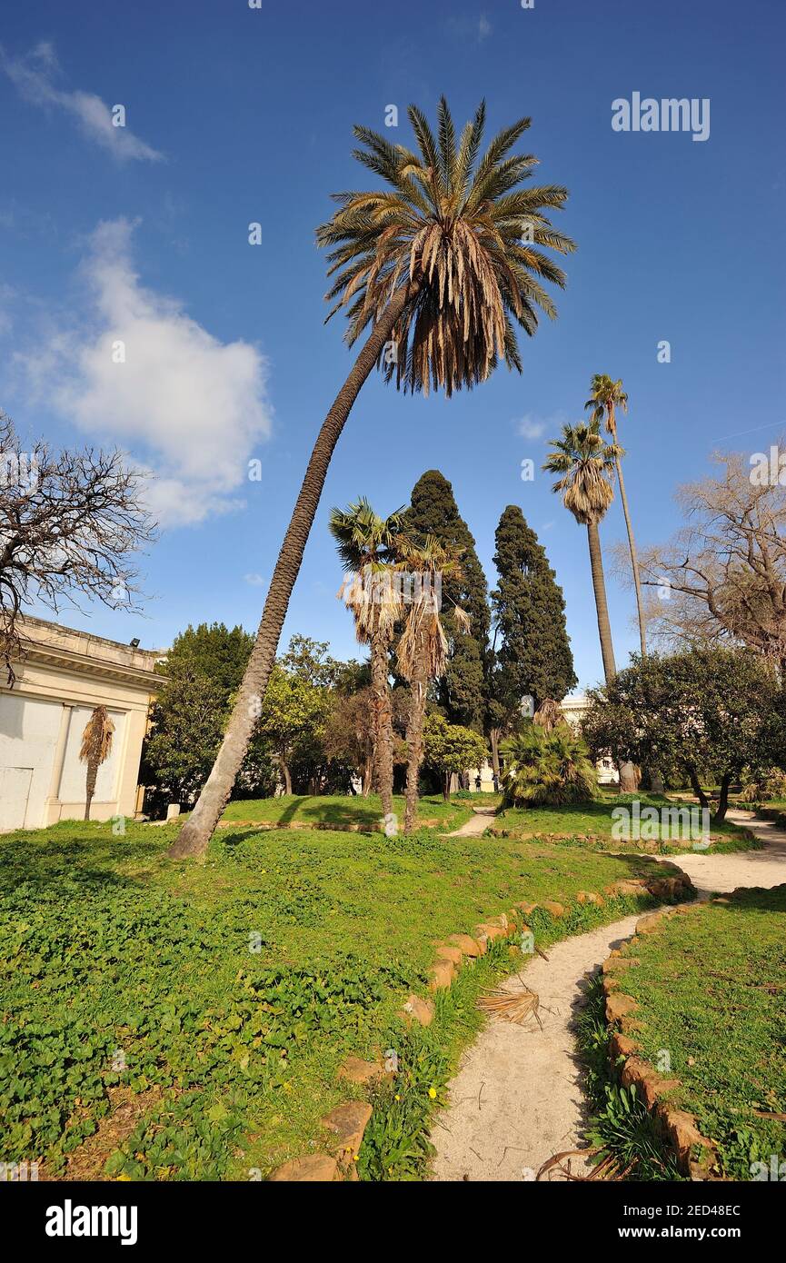 Palm trees in italian garden hi-res stock photography and images - Alamy
