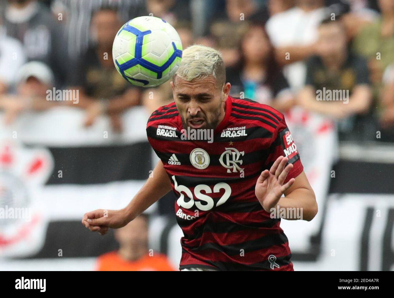 Duarte paulo hi-res stock photography and images - Alamy