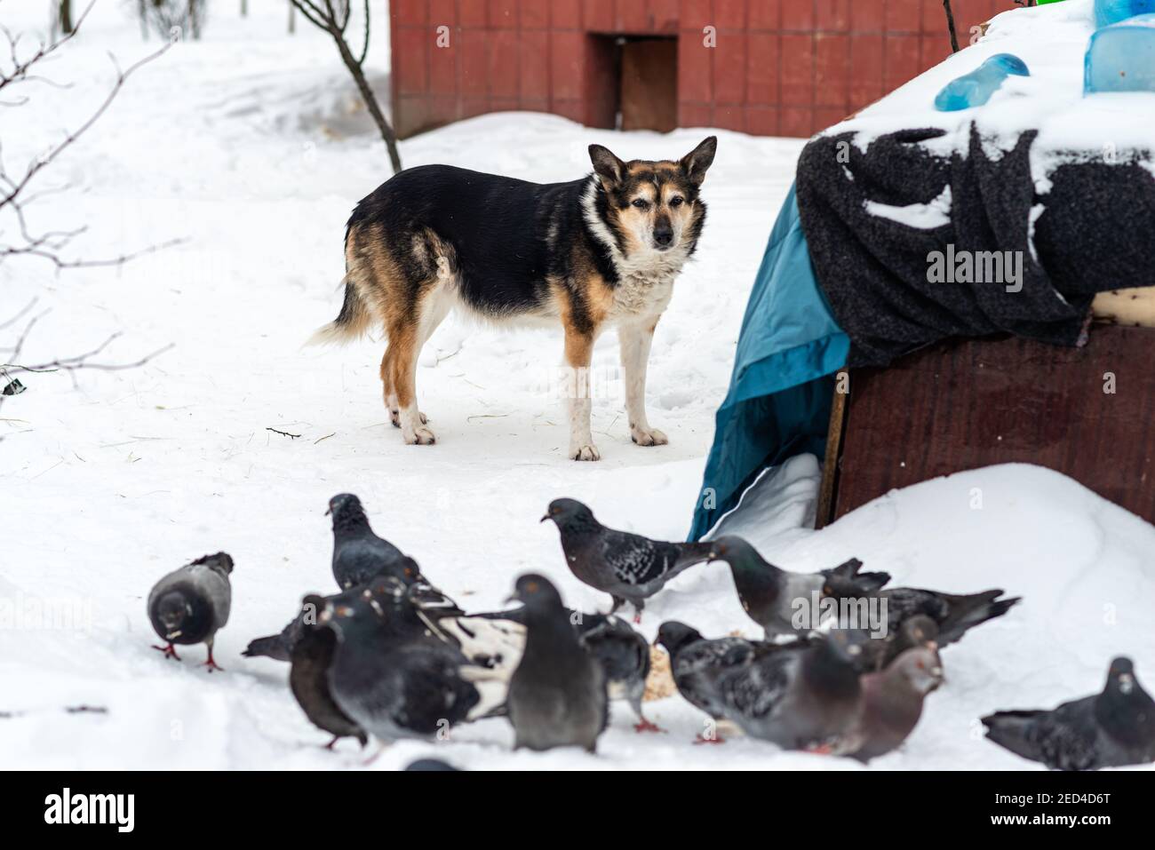 Homeless family hi-res stock photography and images - Alamy