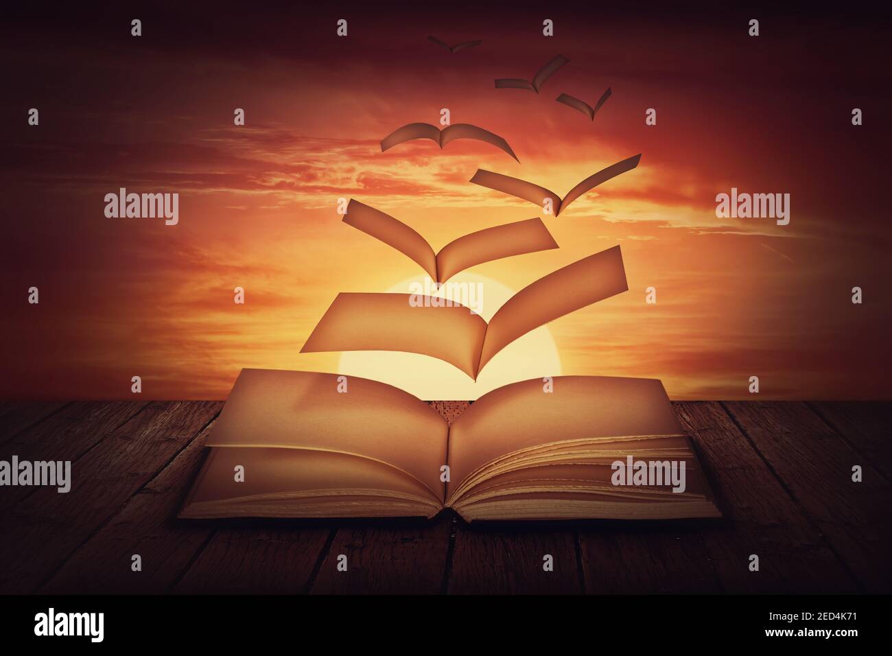 Surreal scene with book pages transforms into magical flying birds ...