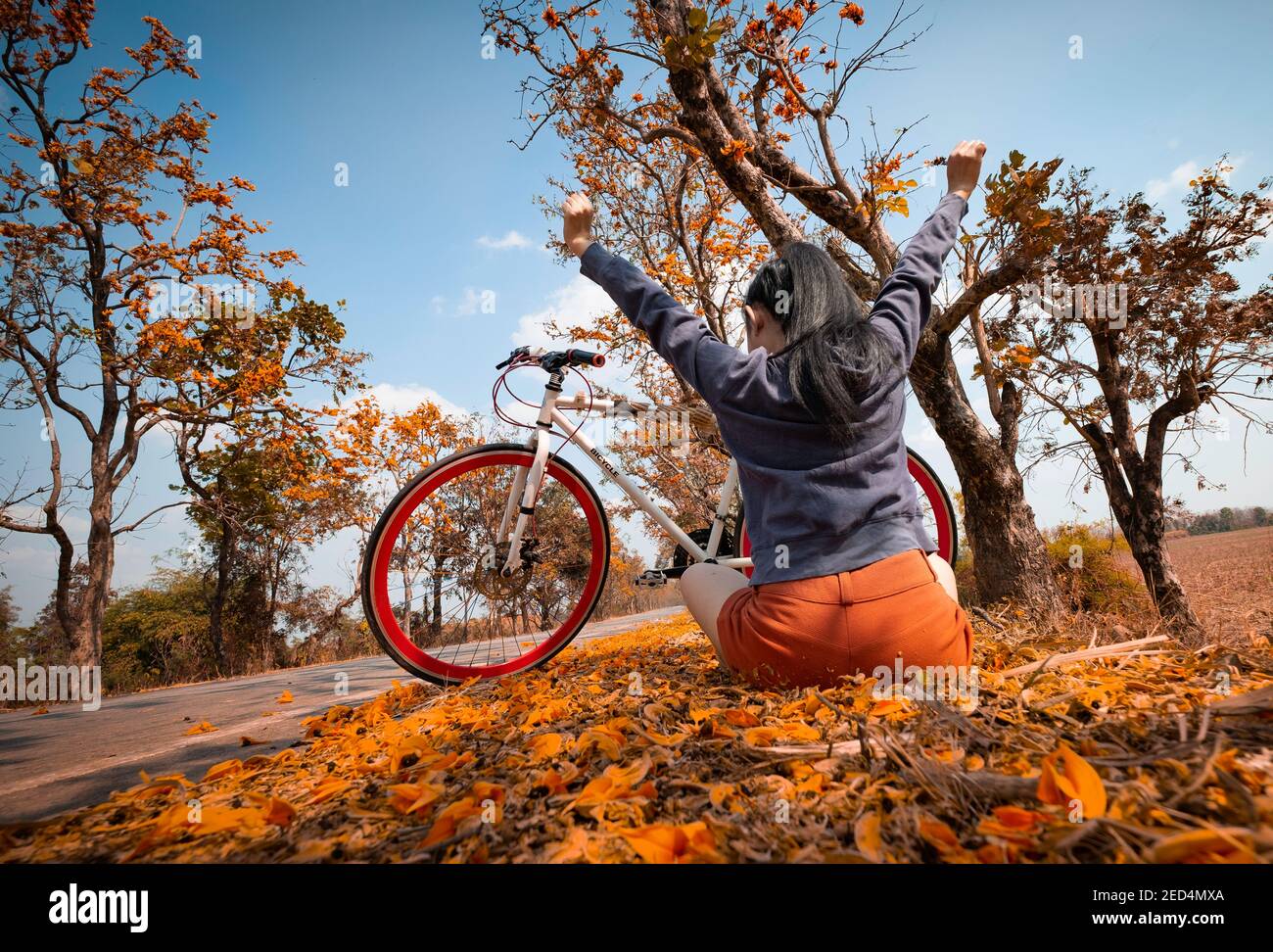 Palash flower hi-res stock photography and images - Alamy