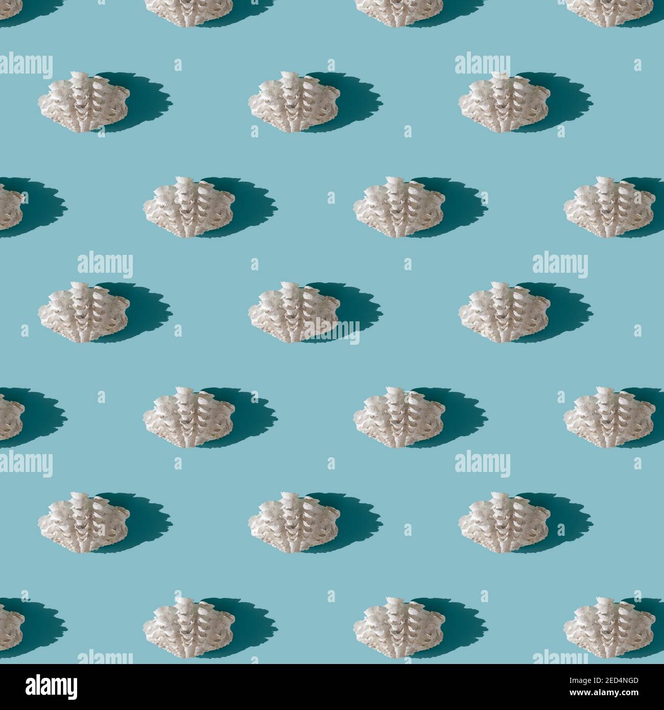 White sea shell seamless pattern with hard shadow on light blue ...