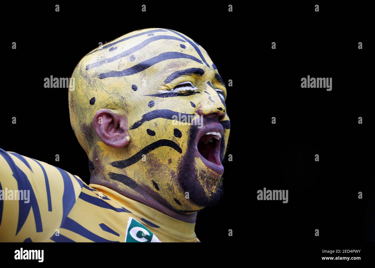 Cricket face paint hi-res stock photography and images - Alamy