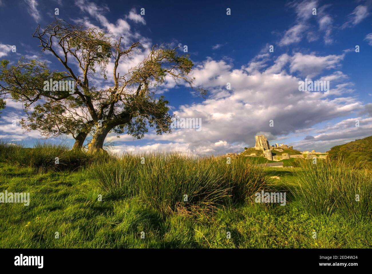 Distorted view hi-res stock photography and images - Alamy