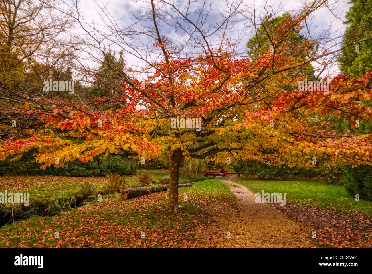 Autumn at Center Stage, Bournemouth, Dorset Stock Photo - Alamy