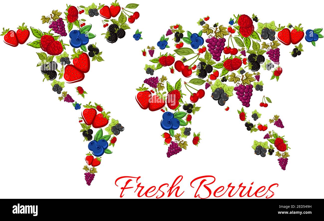 Berries world map of vector fresh berries grape and strawberry ...