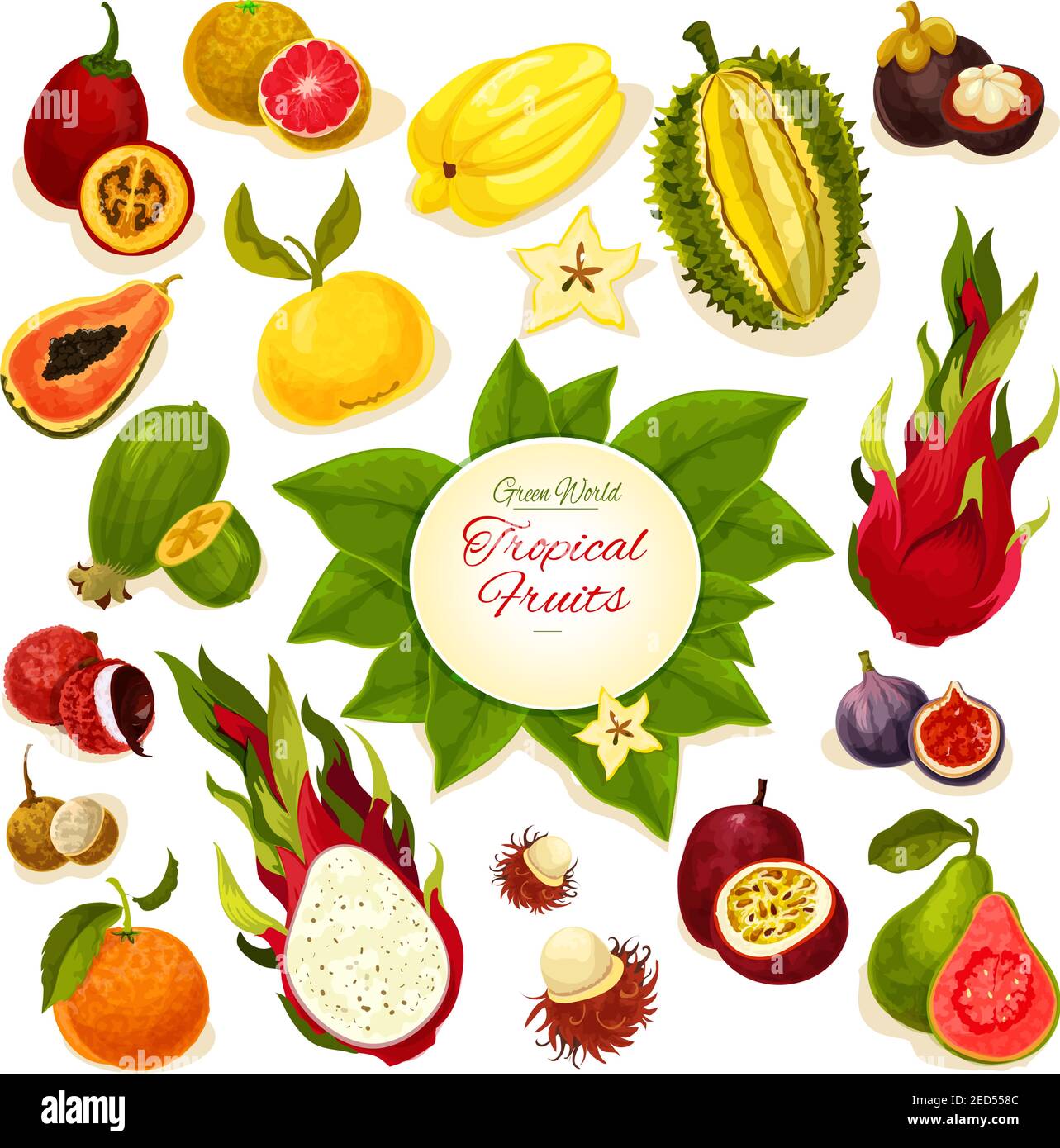 Tropical fruits poster of vector whole and sliced juicy fruits durian ...