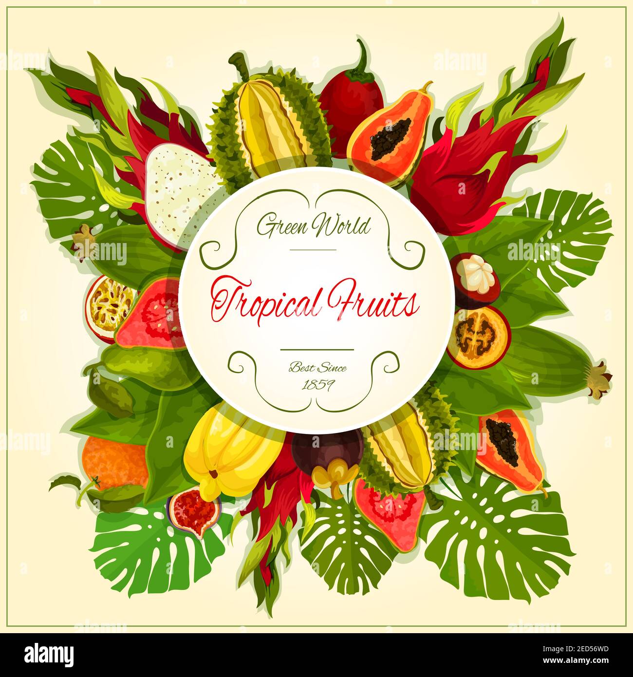 Tropical fruits poster. Vector exotic juicy fruits durian, orange ...