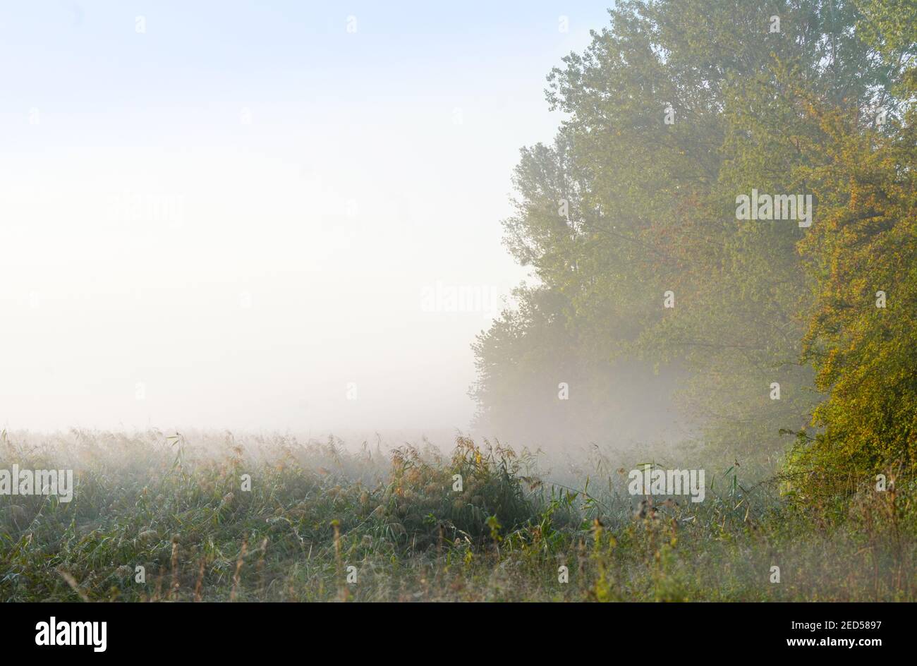 Landschaft hi-res stock photography and images - Alamy
