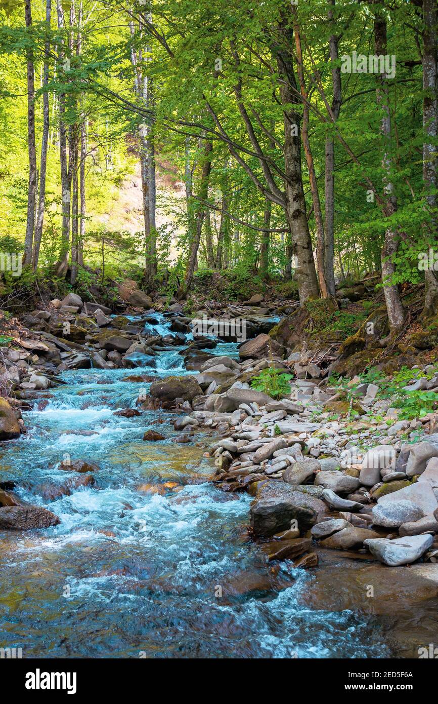 Mountain river runs through hi-res stock photography and images - Alamy
