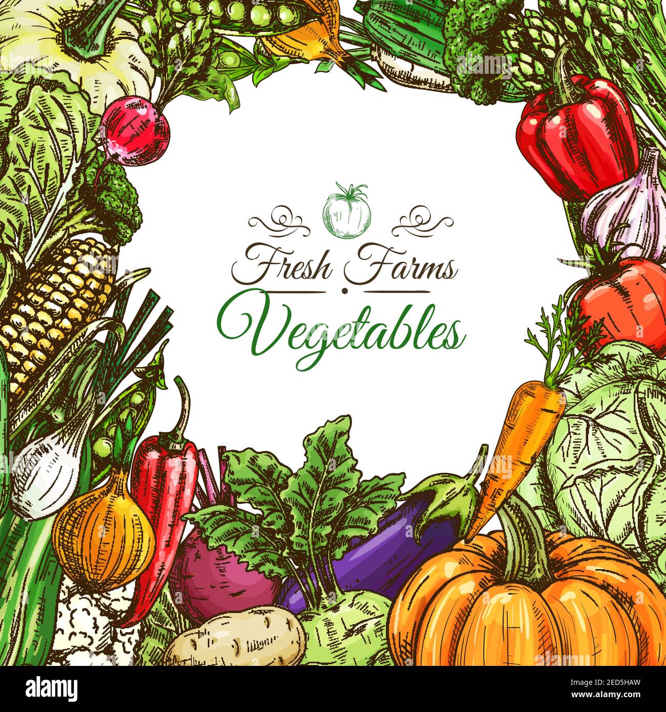 Vegetables poster or vegetarian menu design template. Fresh farm tomato ...