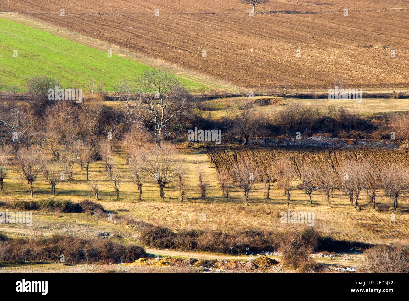 Agricultural field landscape and view in Georgia Stock Photo - Alamy