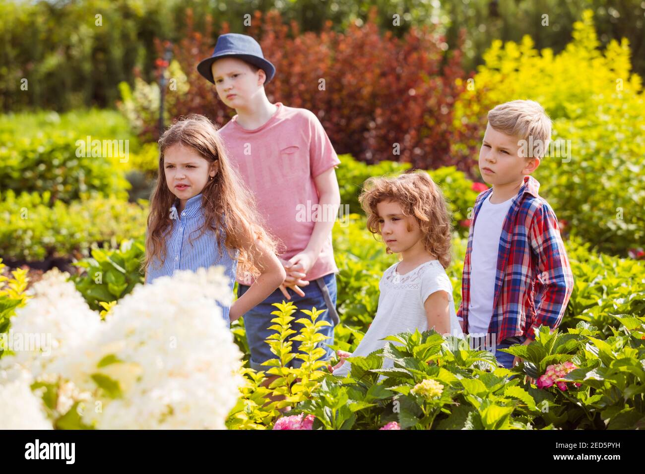 Kids choose the flowers at the garden shop Stock Photo - Alamy