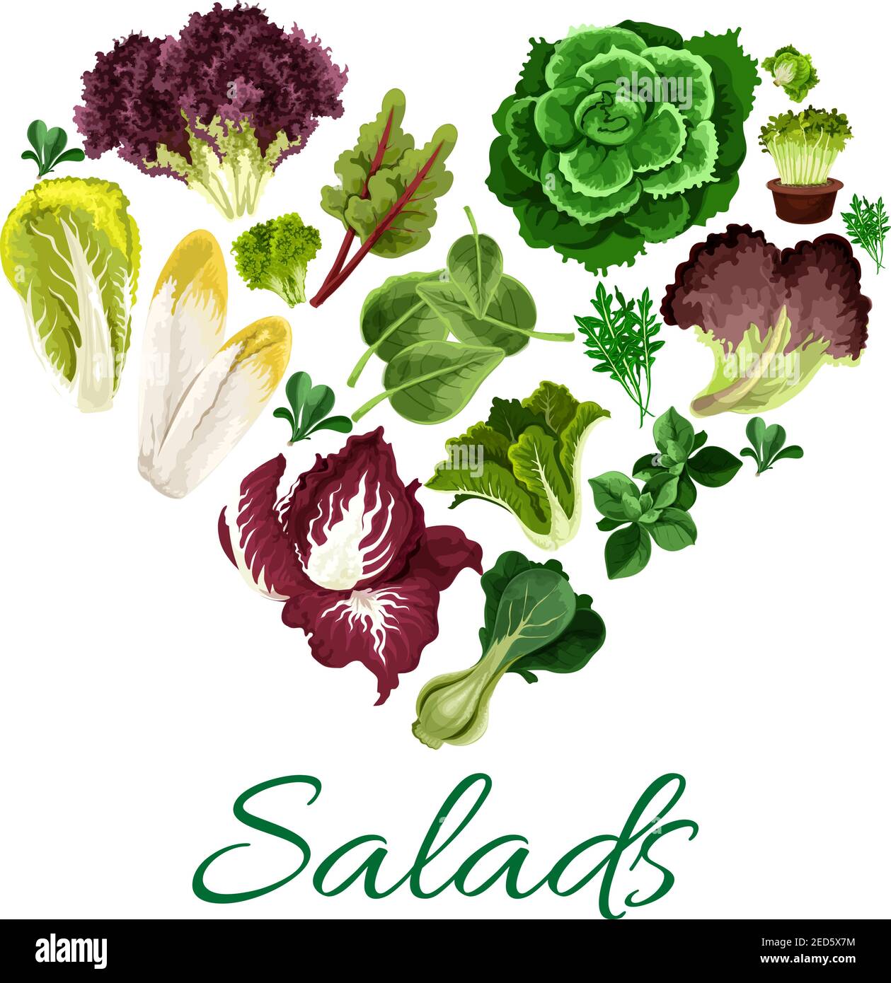 Vegetable greens heart symbol made up of fresh salad leaves of lettuce ...