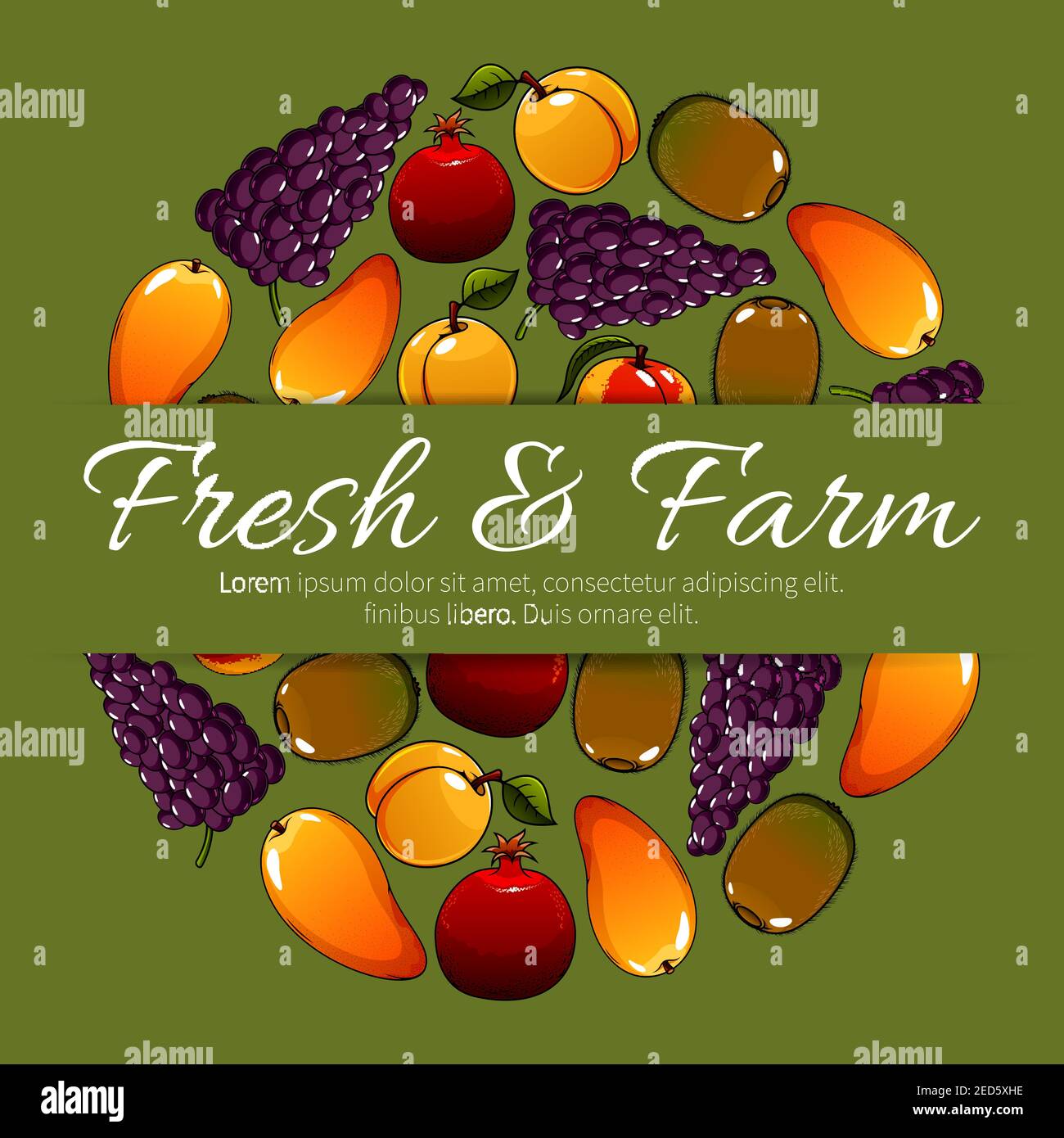 Fresh farm fruits. Vector fruit poster with ripe fruit harvest of juicy ...