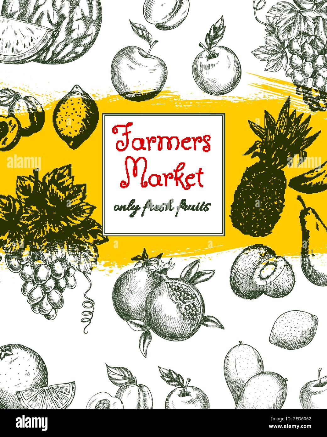 Fruits sketch vector poster. Farm market fruit harvest of natural ...