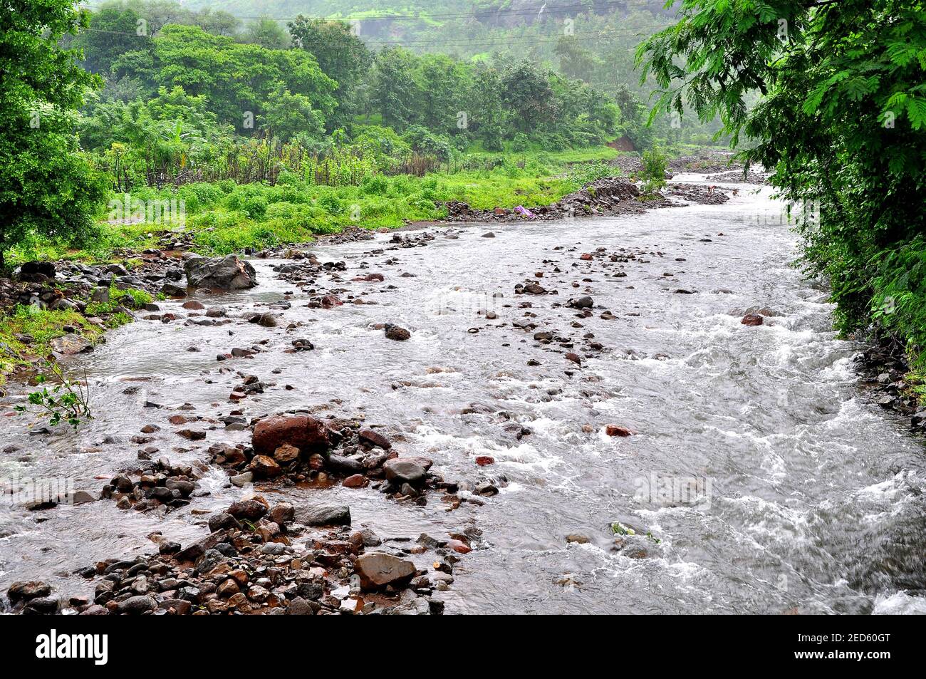 A flowing river in a green area in India Stock Photo - Alamy