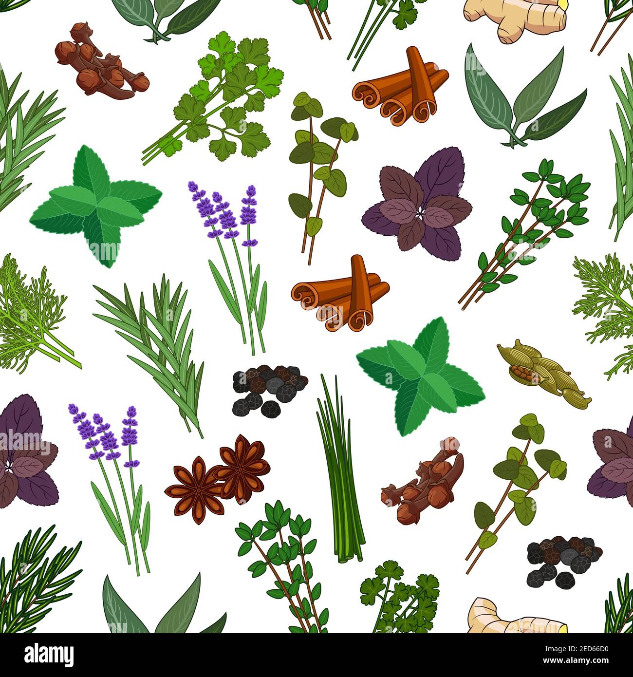 Herbs and spices seamless pattern. Vector patterns of mint, cinnamon, thyme, ginger, ginger and ...