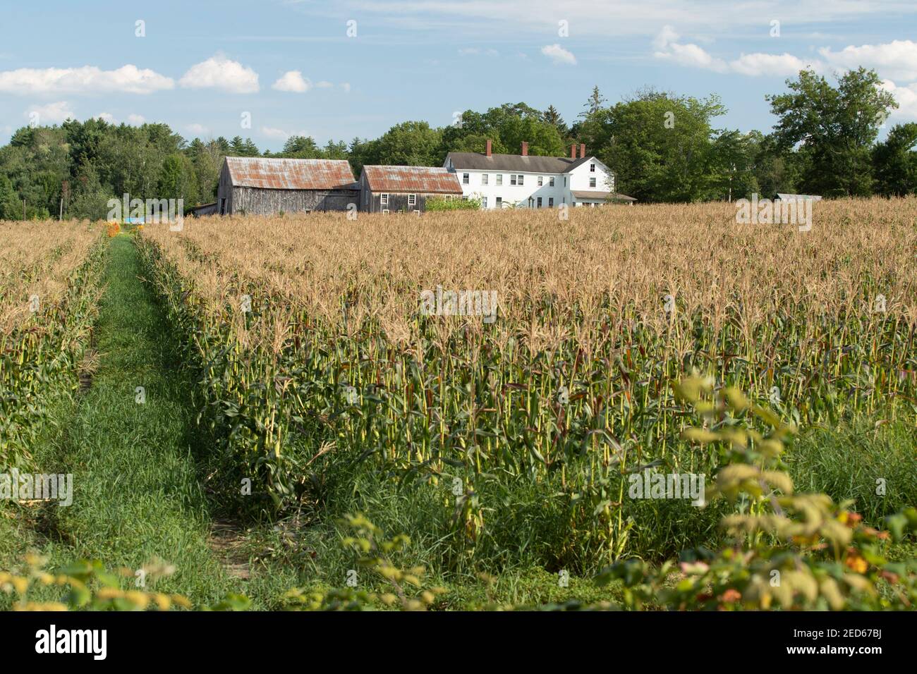 Barns and tractors hi-res stock photography and images - Alamy
