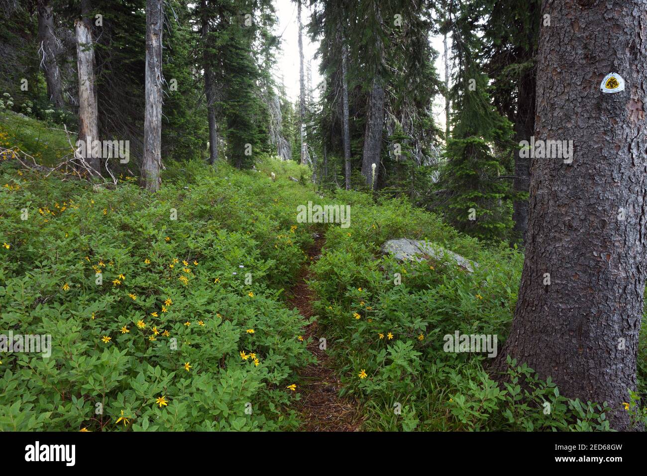 Pnt trail marker hi-res stock photography and images - Alamy