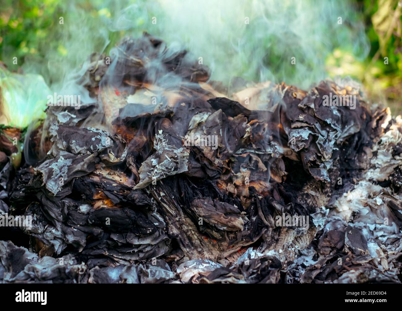 paper fire in nature Stock Photo - Alamy