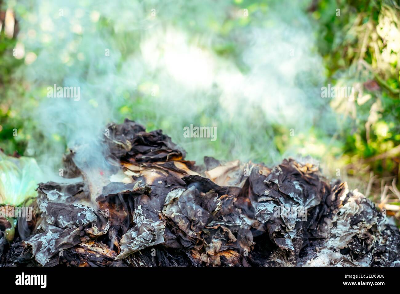 paper fire in nature Stock Photo - Alamy