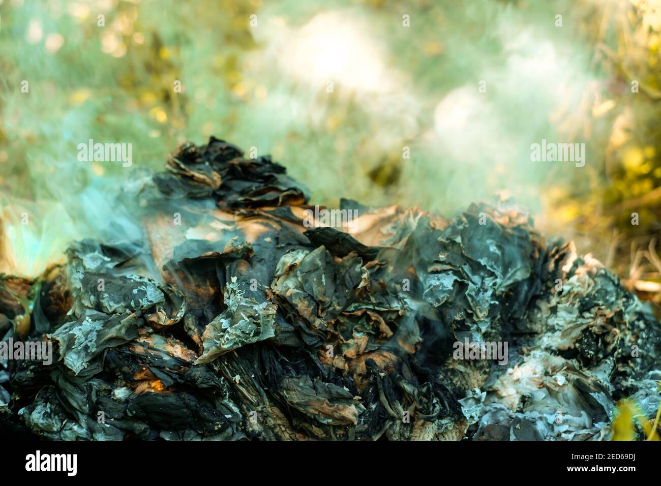 paper fire in nature Stock Photo - Alamy