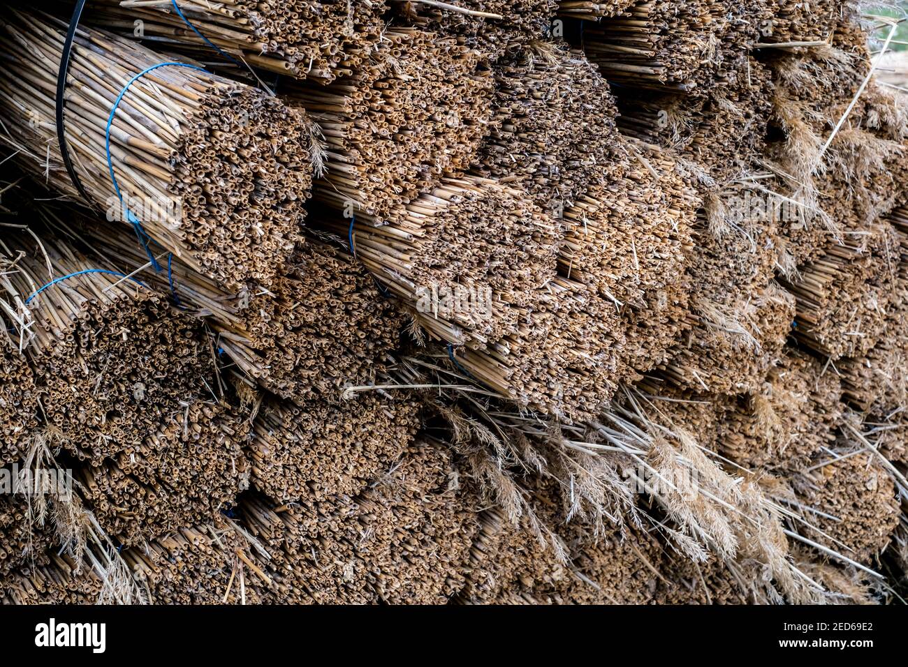 pile of harvested and bound reed for traditional roofing Stock Photo ...