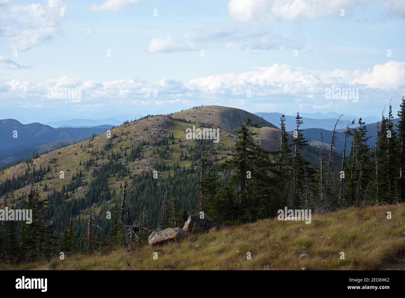 Buckhorn Ridge Roadless Area along the Montana Idaho Divide in summer ...