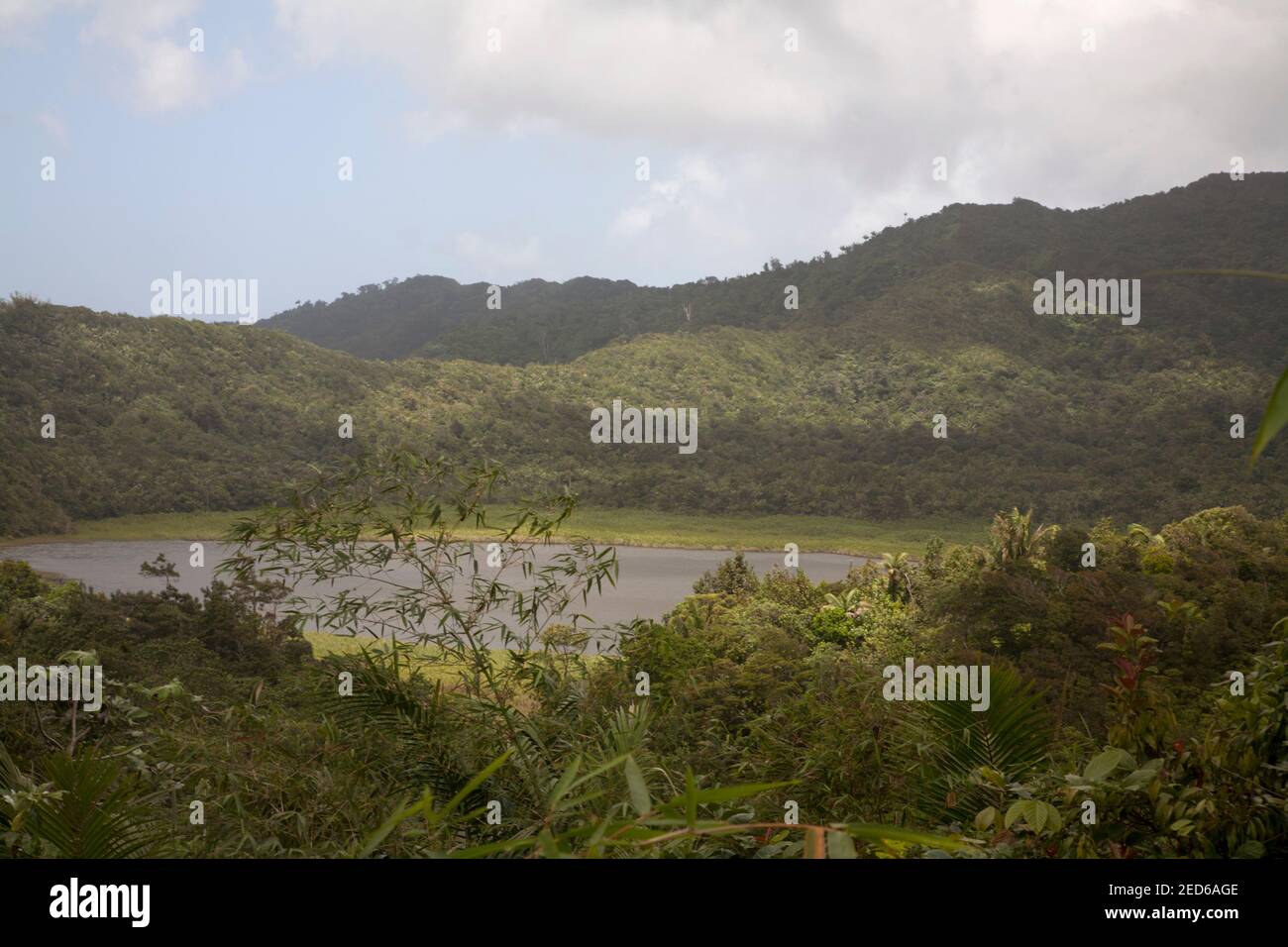 grand etang lake grand etang national park grenada windward islands ...