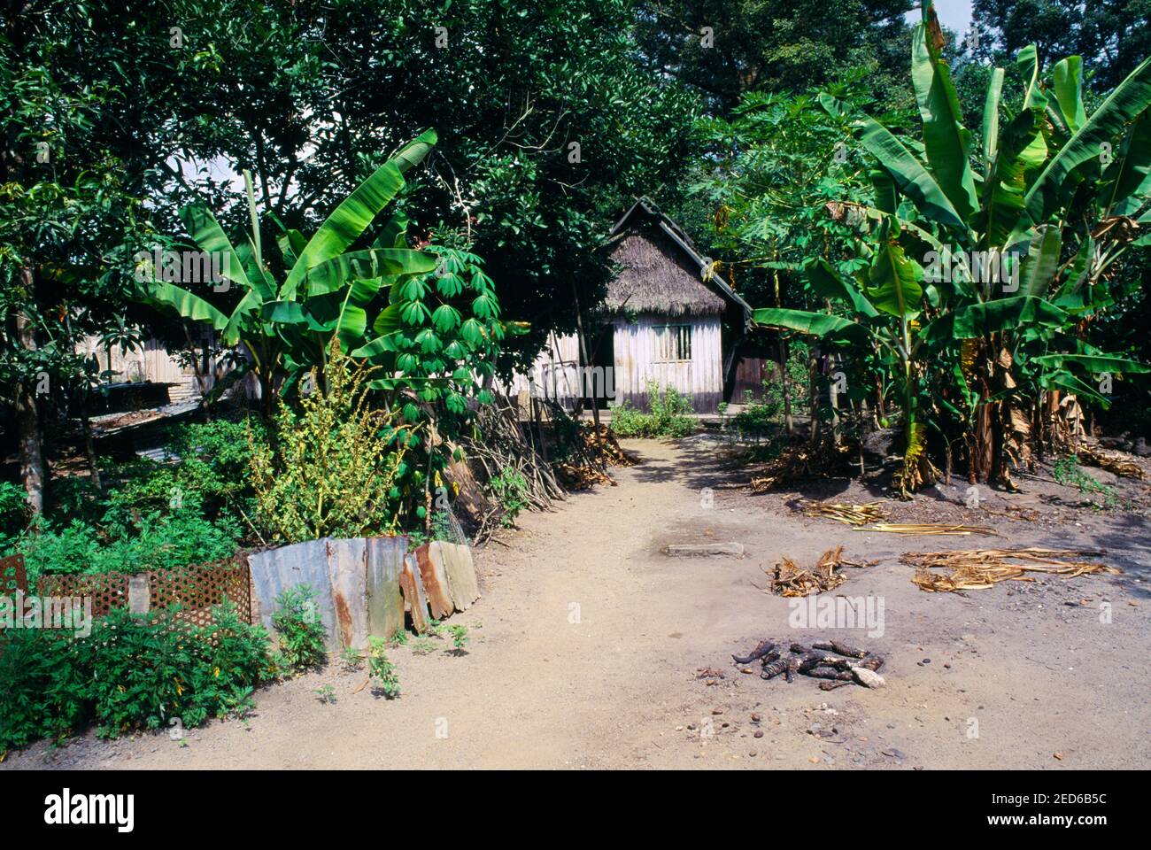 Palai ibin island hi-res stock photography and images - Alamy
