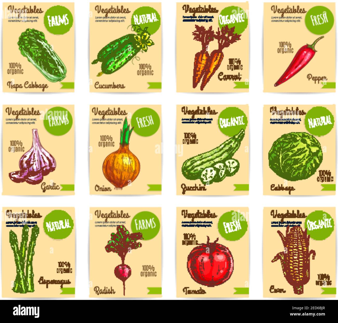 Farm veggies, organic vegetables price cards labels or vector tags set ...