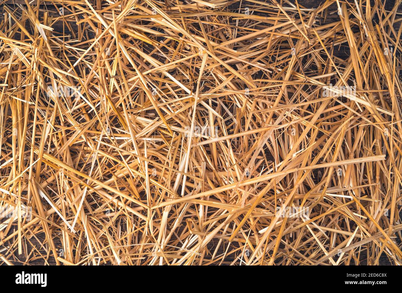 Straw background with vintage tinting. Abstract background, top view ...