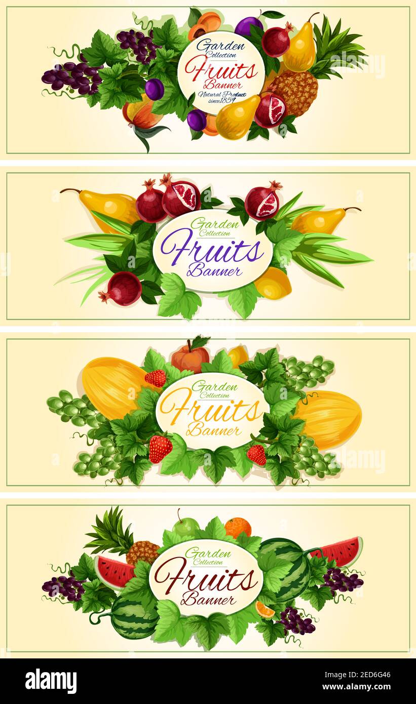 Fruit and berry banner set with apple, strawberry, orange, grape ...