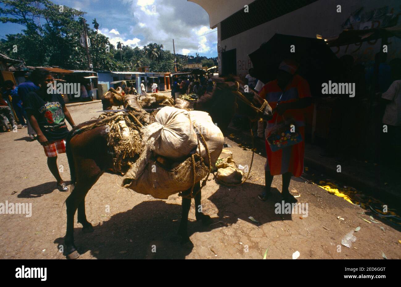 Dominican republic donkey hi-res stock photography and images - Alamy