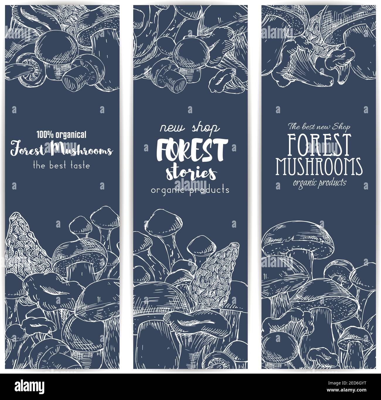 Mushroom shop banners of sketched edible forest mushrooms champignon ...