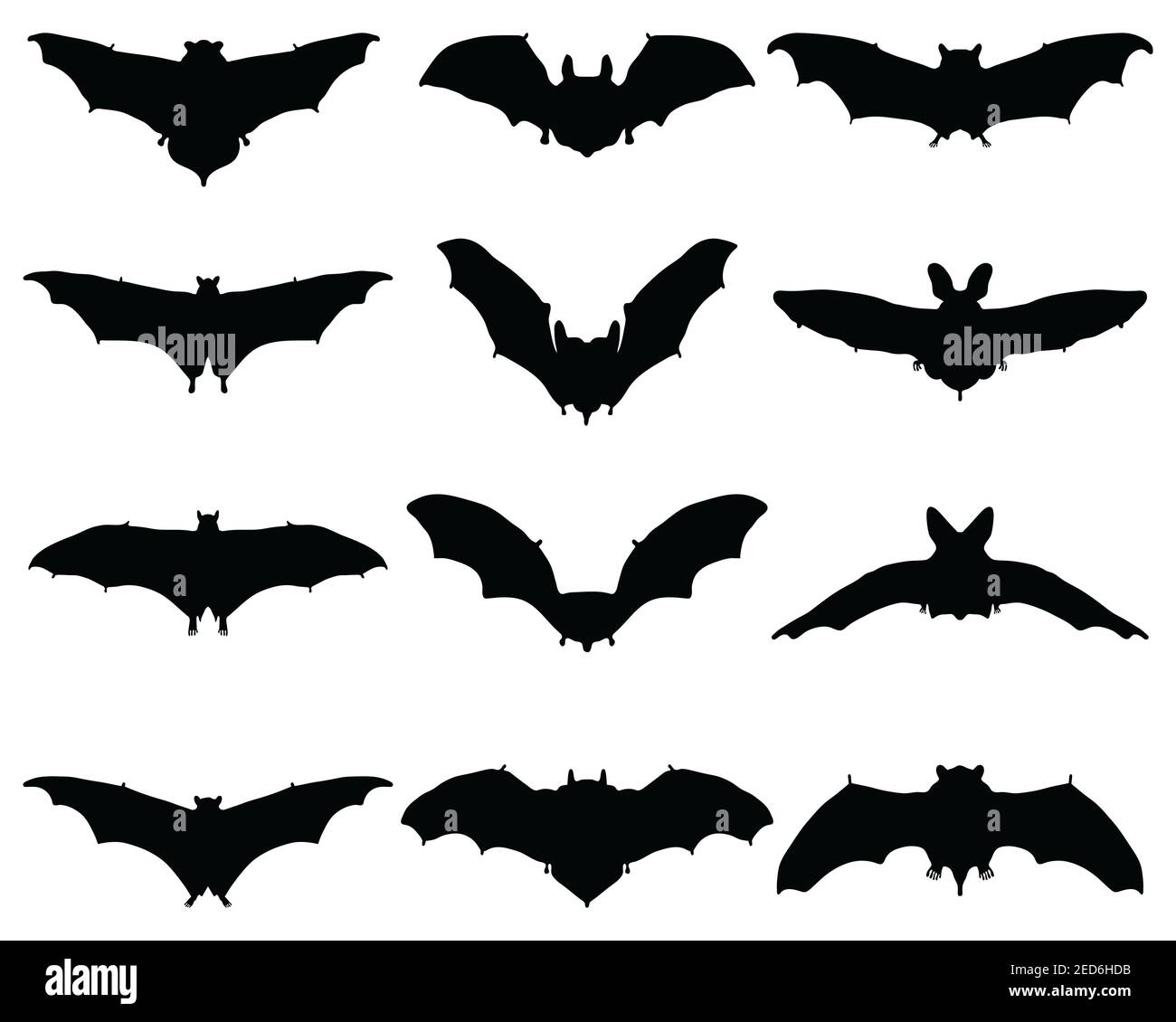 Black silhouettes bats on hi-res stock photography and images - Alamy