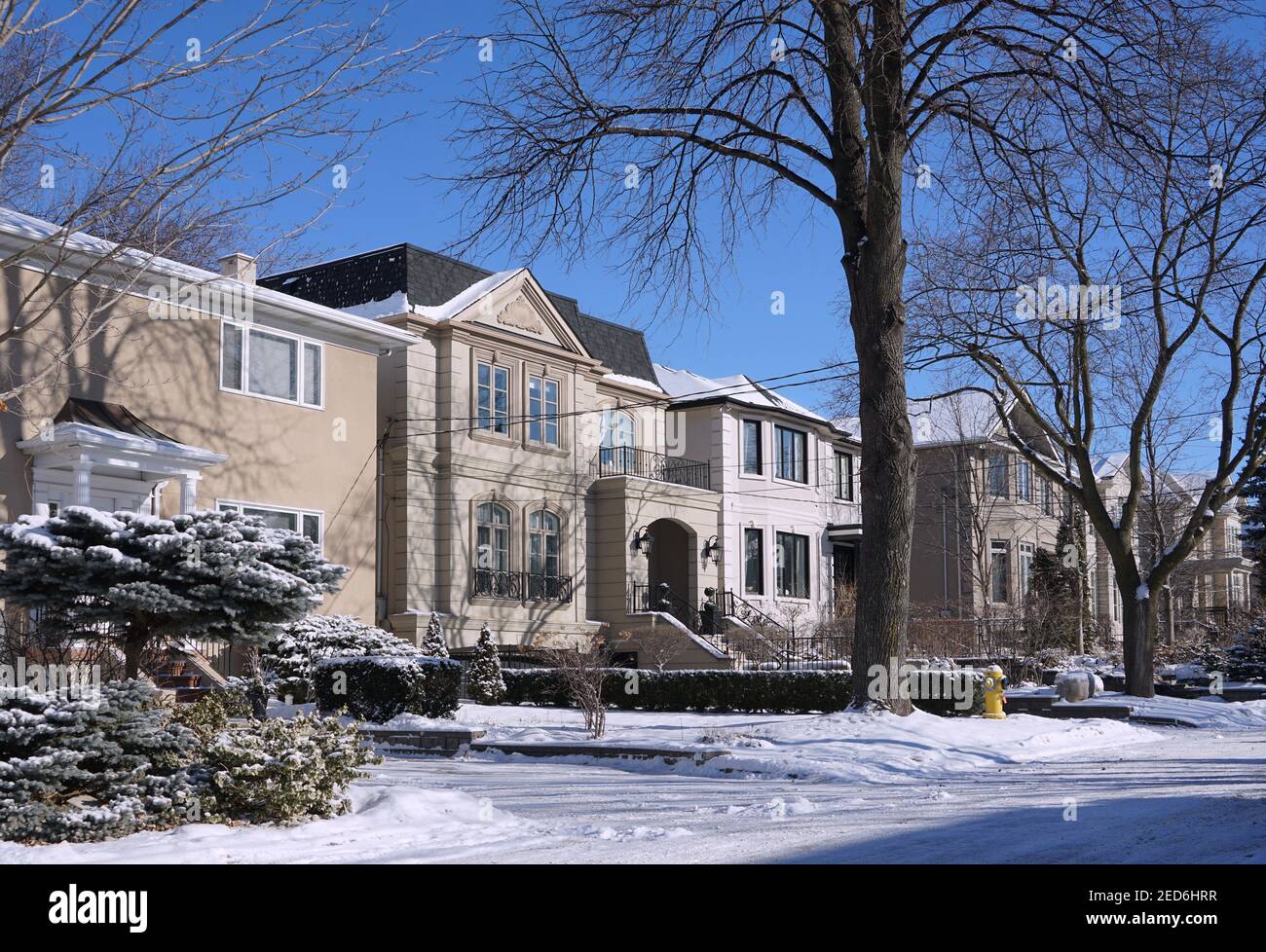 House in the middle of trees hi-res stock photography and images - Alamy