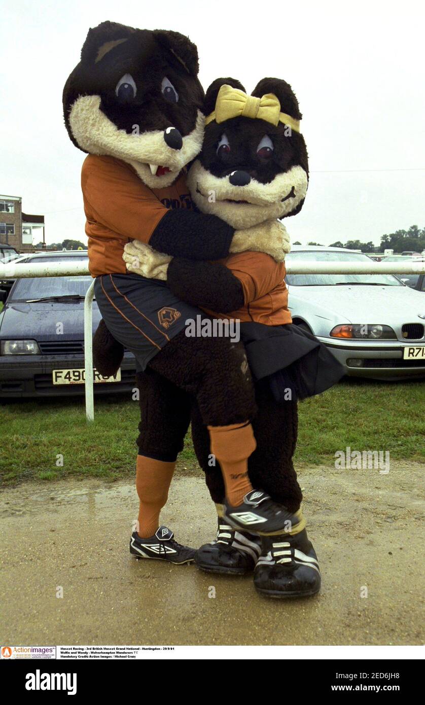 Wolfie Wendy High Resolution Stock Photography and Images - Alamy