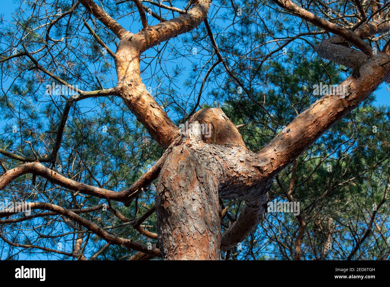 Structured park hi-res stock photography and images - Alamy