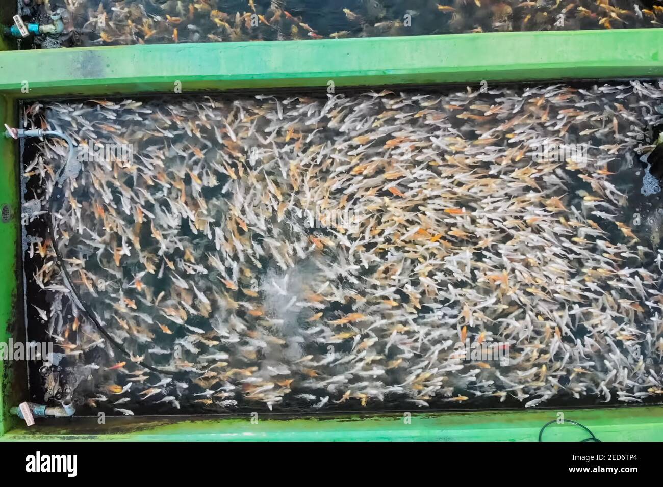 Fish enclosures aerial hi-res stock photography and images - Alamy