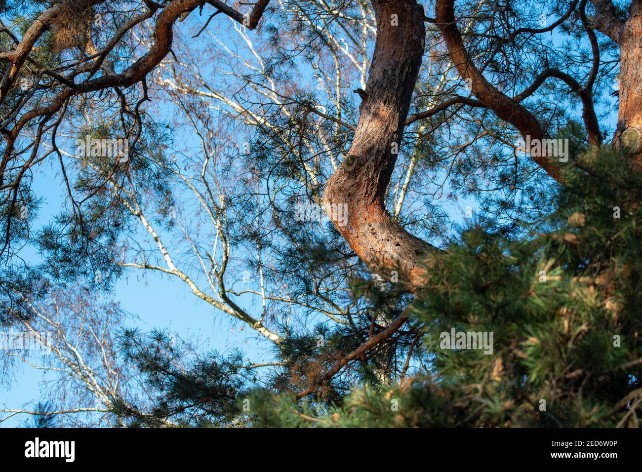 Structured park hi-res stock photography and images - Alamy