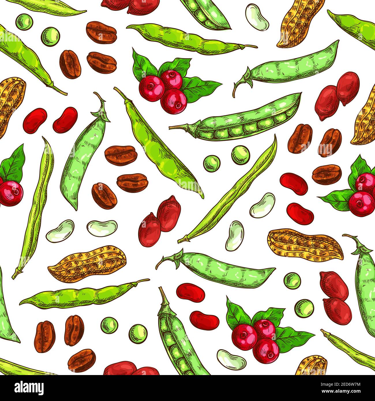 Vegeta vector vectors hi-res stock photography and images - Alamy