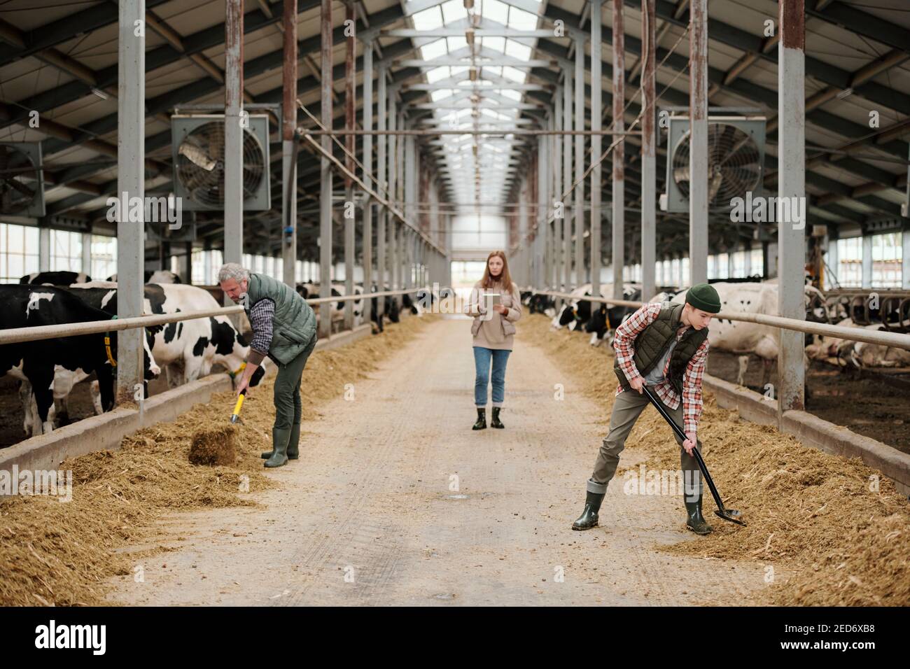 Architecture teamwork father son hi-res stock photography and images ...